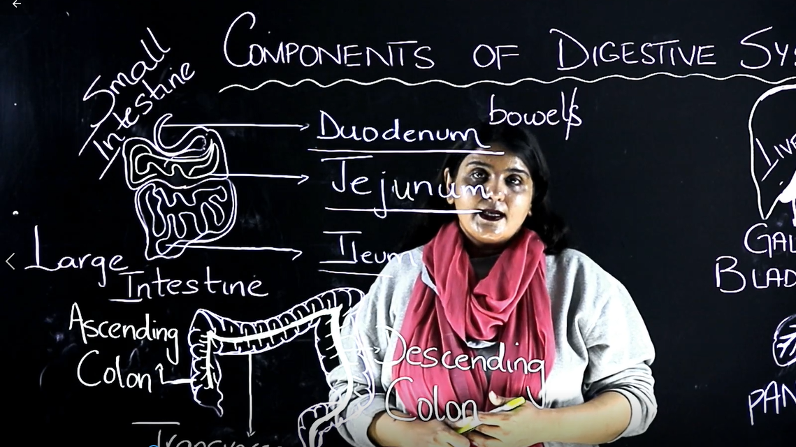 OMED – Openminds Education